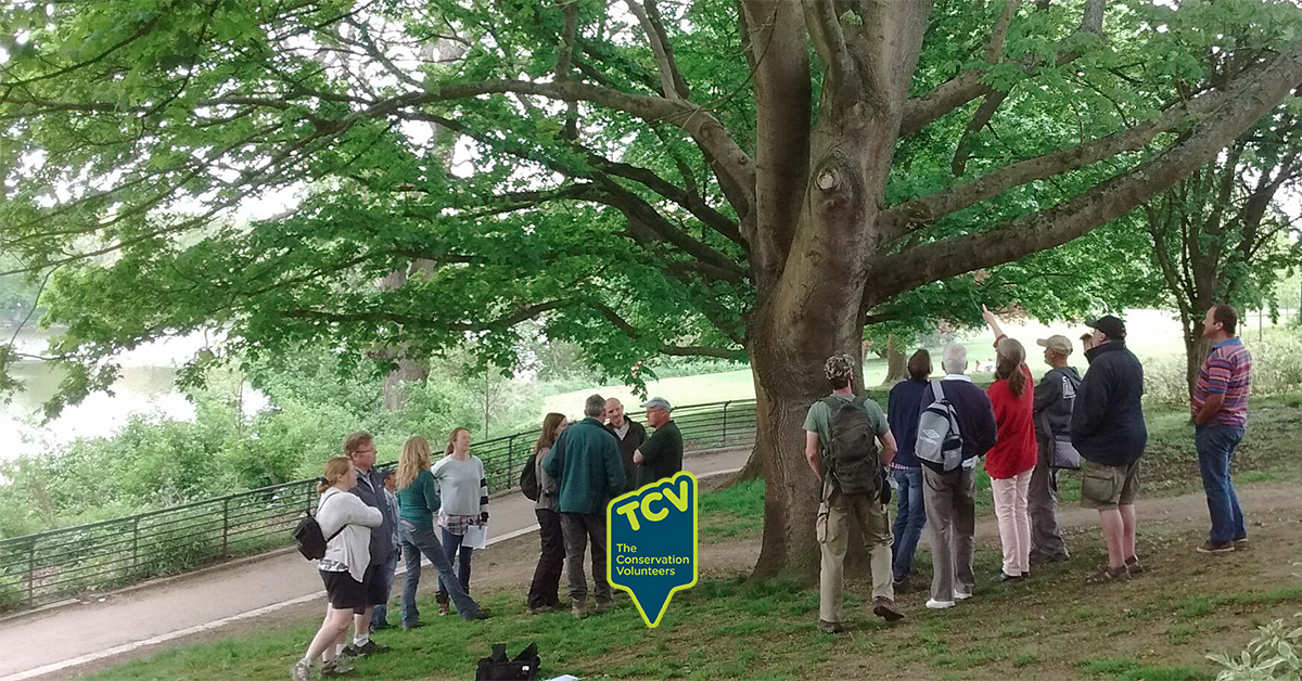 Kent Heritage Trees Project