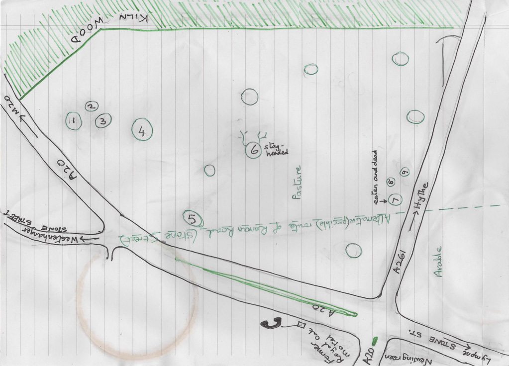 Oak - 2757 - Kent Heritage Trees Project