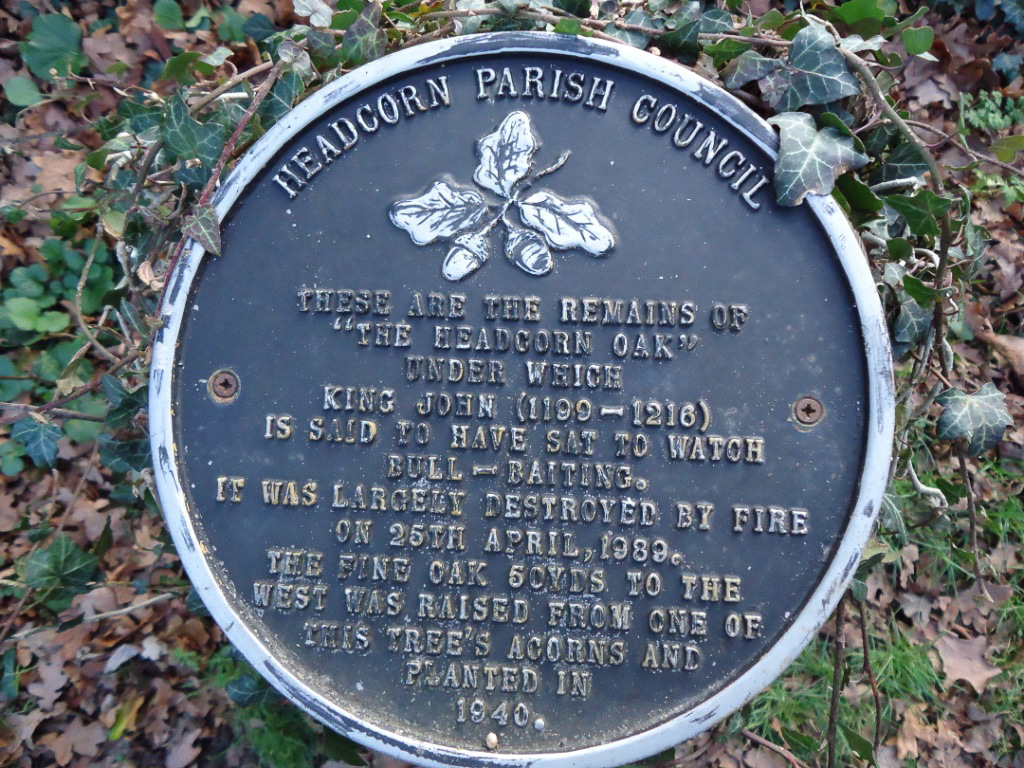 Oak_Plaque - Kent Heritage Trees Project