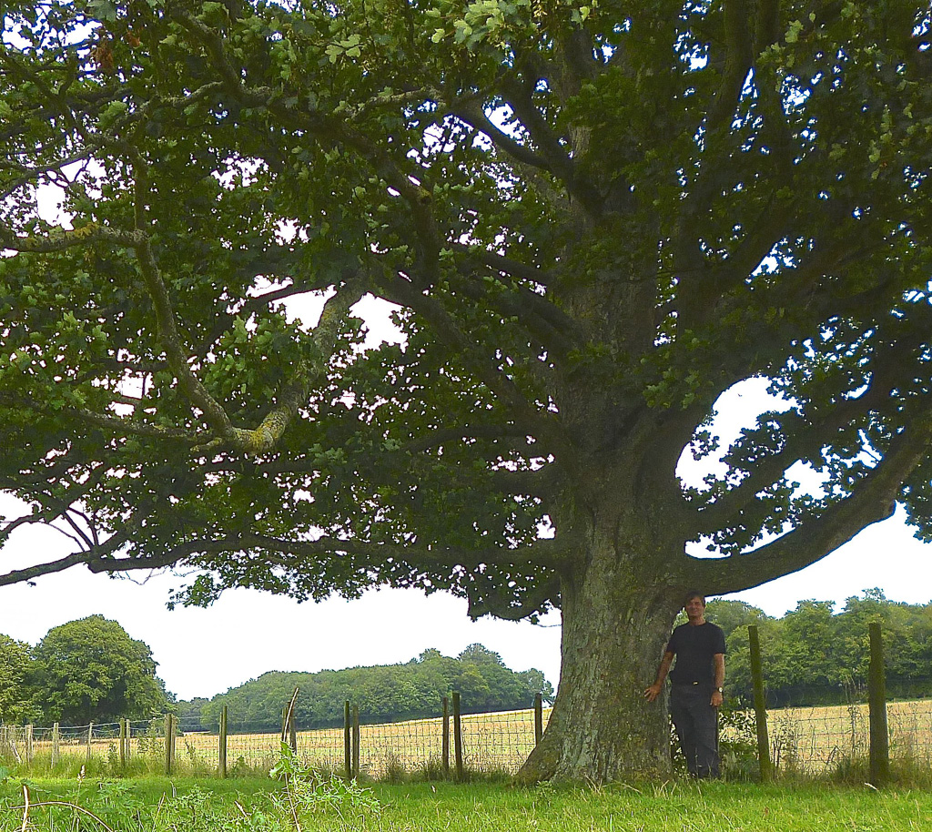 P1010870 - Kent Heritage Trees Project