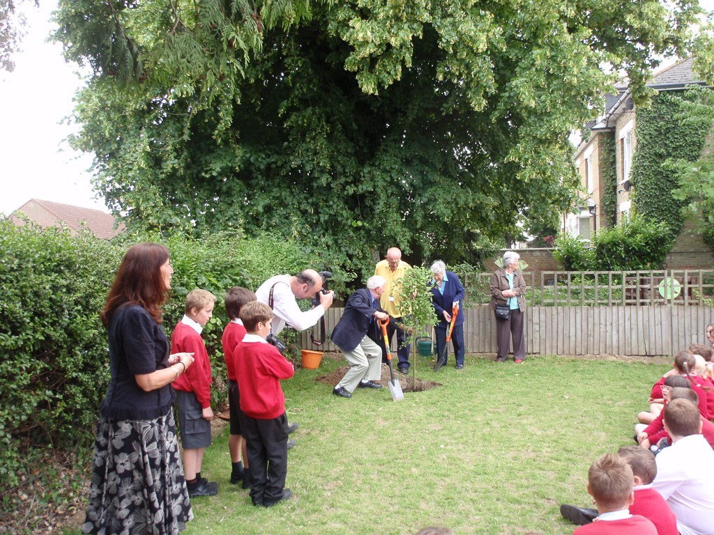 Willow - 3092 - Kent Heritage Trees Project