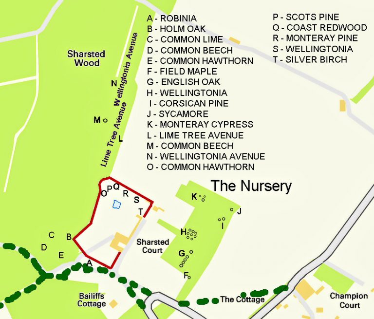 Sharsted_Court_Map - Kent Heritage Trees Project