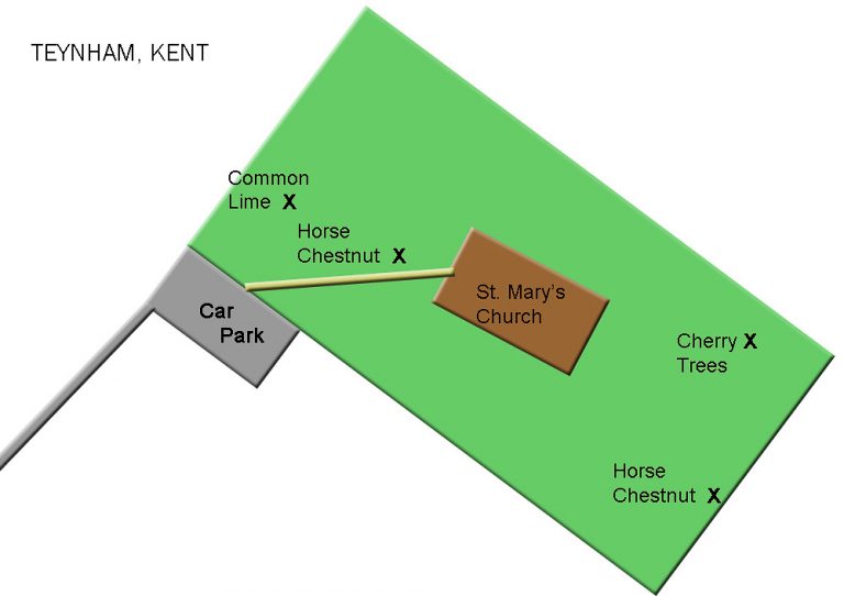 Sketch_Map_St._Marys_Church_Teynham - Kent Heritage Trees Project